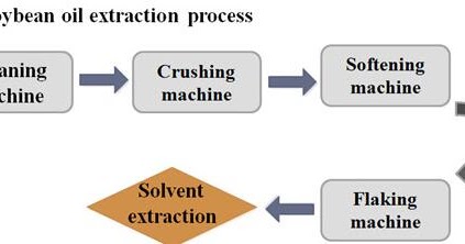 edible oil making machine: 2-100tpd soybean oil extraction process