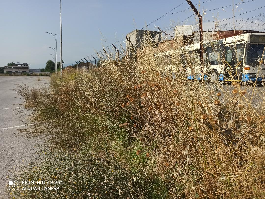 ΛΕΥΤΕΡΙΑ: ΤΑ ΔΕΟΝΤΑ ΑΠΟ ΤΗΝ ΕΜΠΟΡΟΠΑΝΗΓΥΡΗ ΚΑΤΕΡΙΝΗΣ ΣΤΟΝ ΔΗΜΑΡΧΟ ΚΑΙ ...