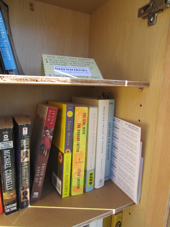 Little Free Library Night Light