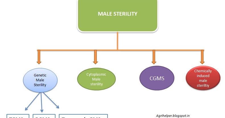 Male Sterility in plants - concise points