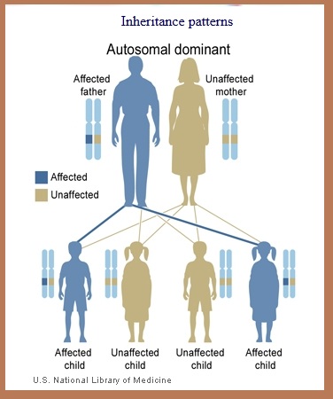 Gallagher Blogs: Genetics and the Law