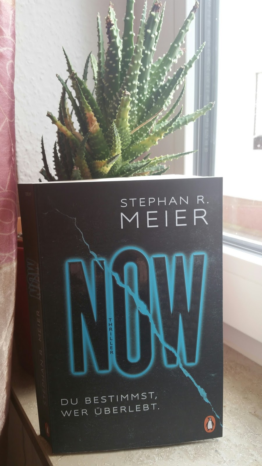 Buchfee - Dystopie, Fantasy und mehr: Rezension: "Now - Du bestimmst ...