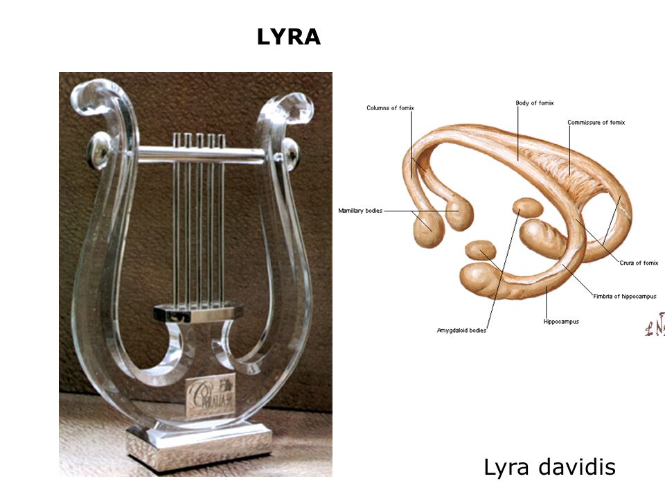 THE RASTAFARI MYSTERY SCHOOL: Bob Marley * The Dance of shiva * "Total ...