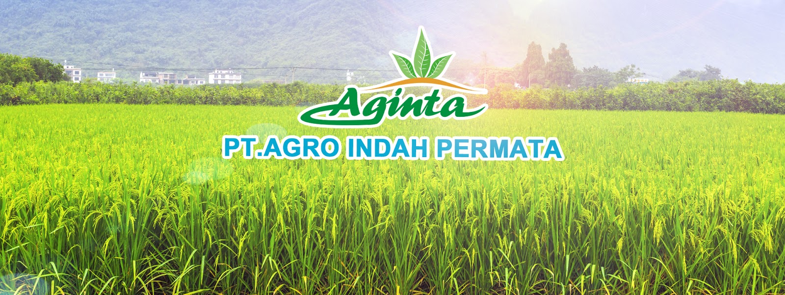 PT. Agro Indah Permata