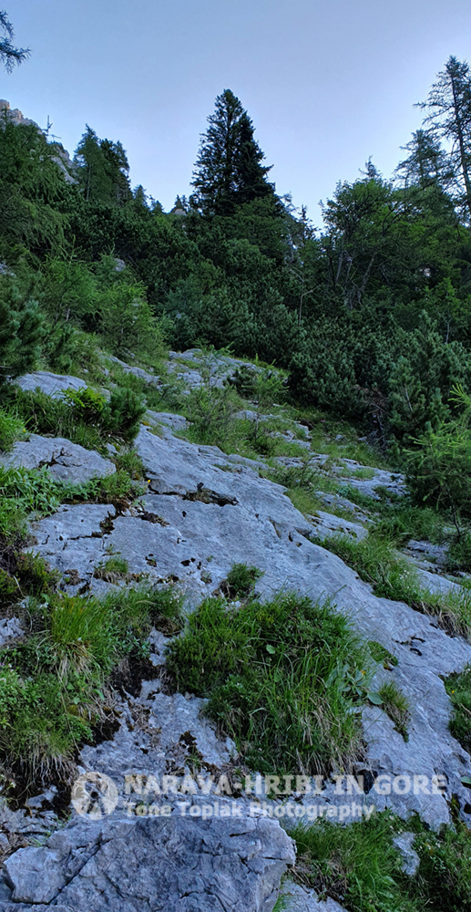 Narava hribi in gore: Planjava in Grapa Za Vrati (2019)