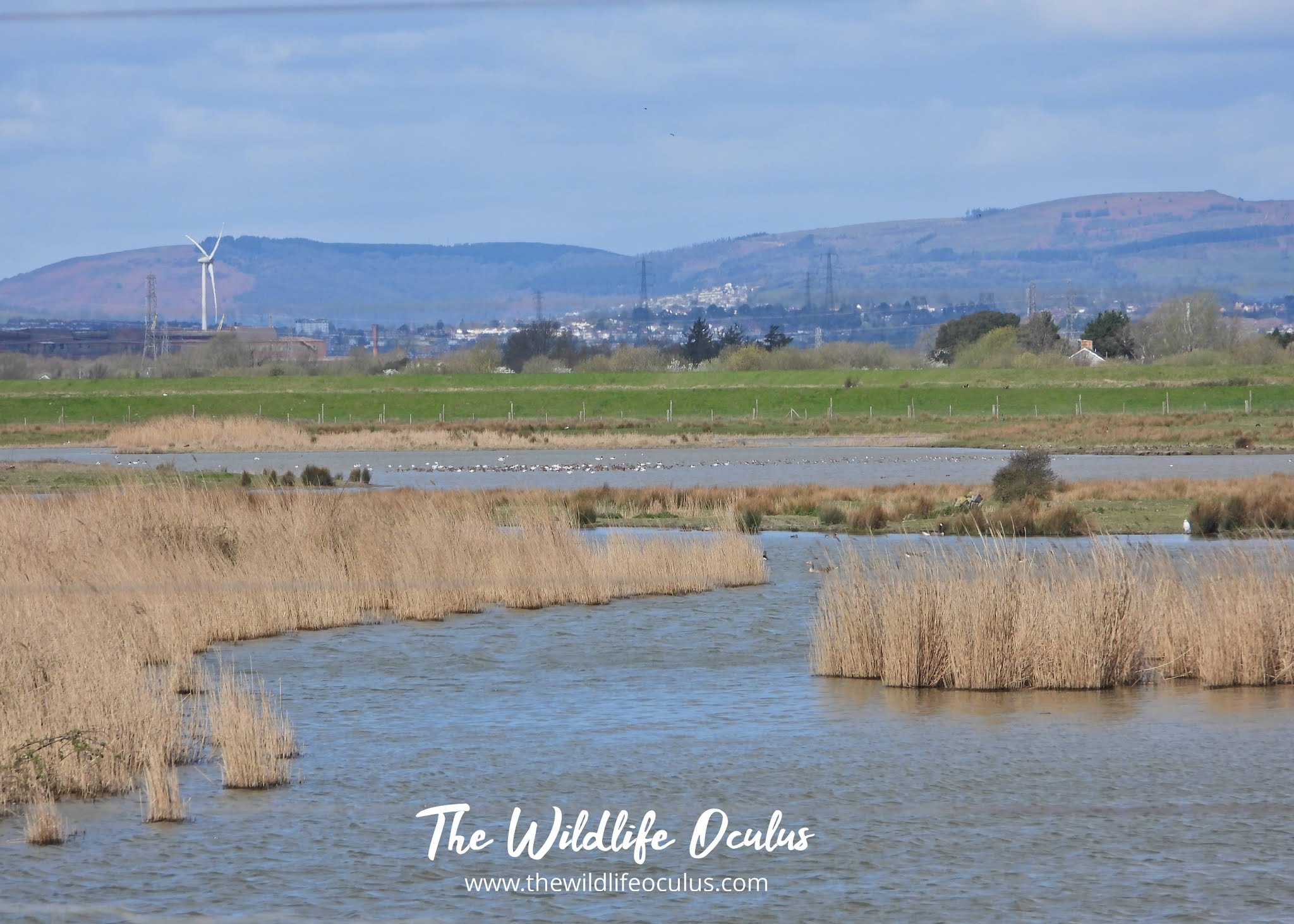 Seriously addicted to Goldcliff Lagoons