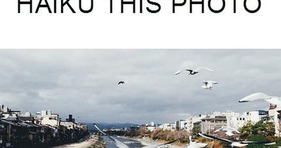 Photo-haiku: NHK WORLD - Haiku Masters - Episode 12