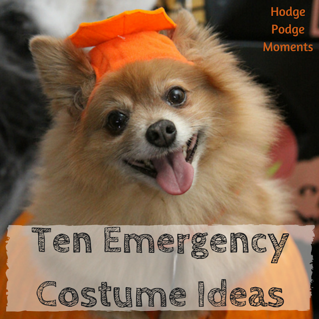 Ten Emergency Costume Ideas | Hodge Podge Moments