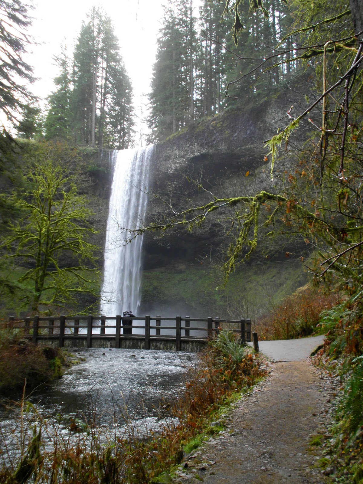Black Watch Sasquatch: Silver Falls State Park - Silverton, Oregon