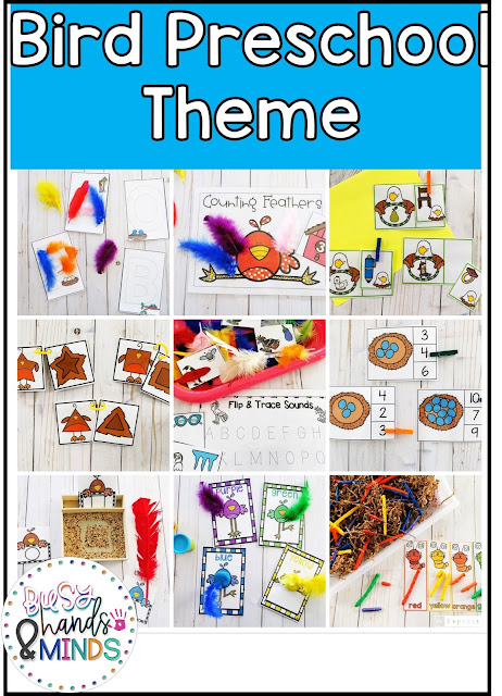 Birds Preschool Theme | Busy Hands and Minds
