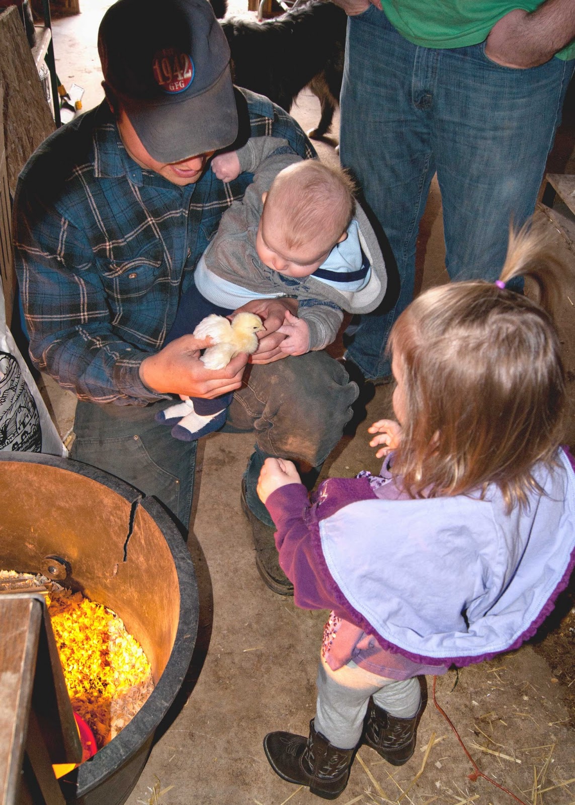 Farm Babies | Averie Lane: Farm Babies
