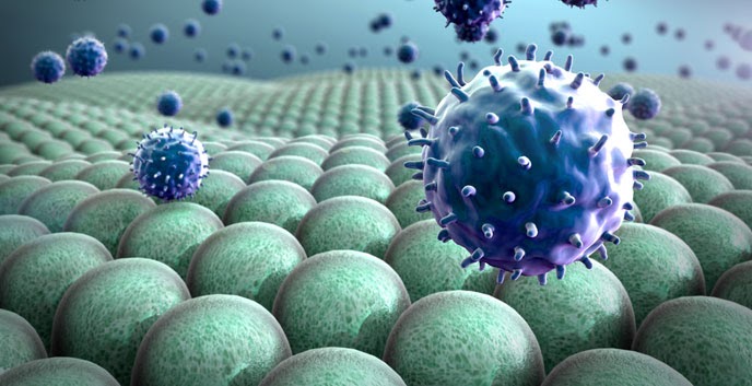 SALUD Y MEDICINA: Logran activar Células Beta con el fin de Curar la ...