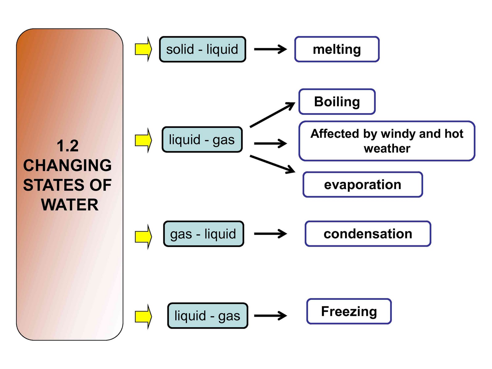 SCIENCE YEAR 5: December 2011