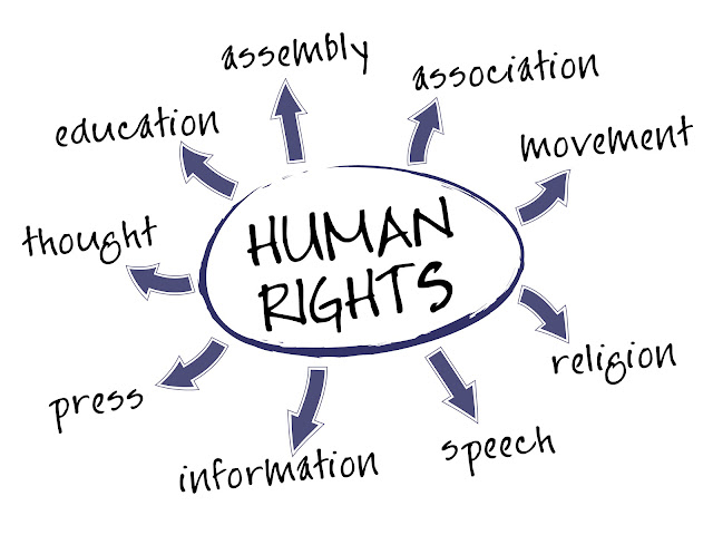 Human Rights in Digital Policy: Human Rights Timeline from 18th Century ...