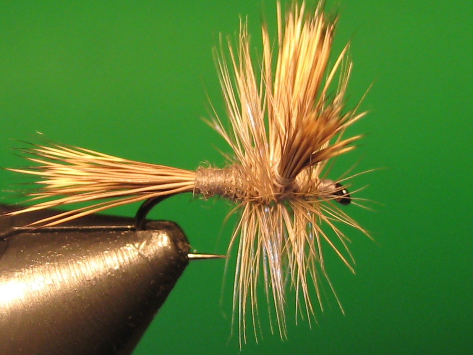 My Trout Fly: Gray Wulff