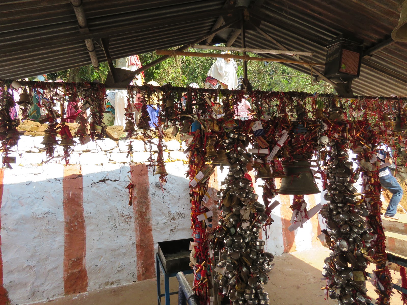 Karthik's Wander: Kollimalai (Kolli Hills)