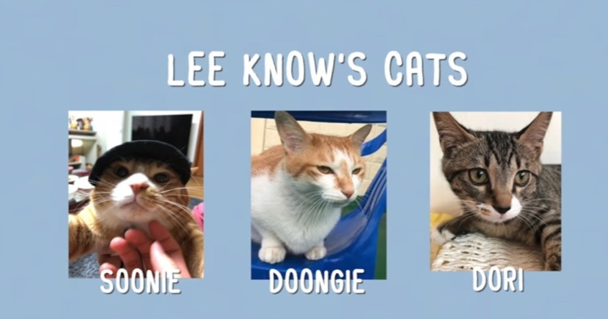 𝖘𝖔𝖔𝖓𝖎𝖊, 𝖉𝖔𝖔𝖓𝖌𝖎𝖊 𝖞 𝖉𝖔𝖗𝖎;