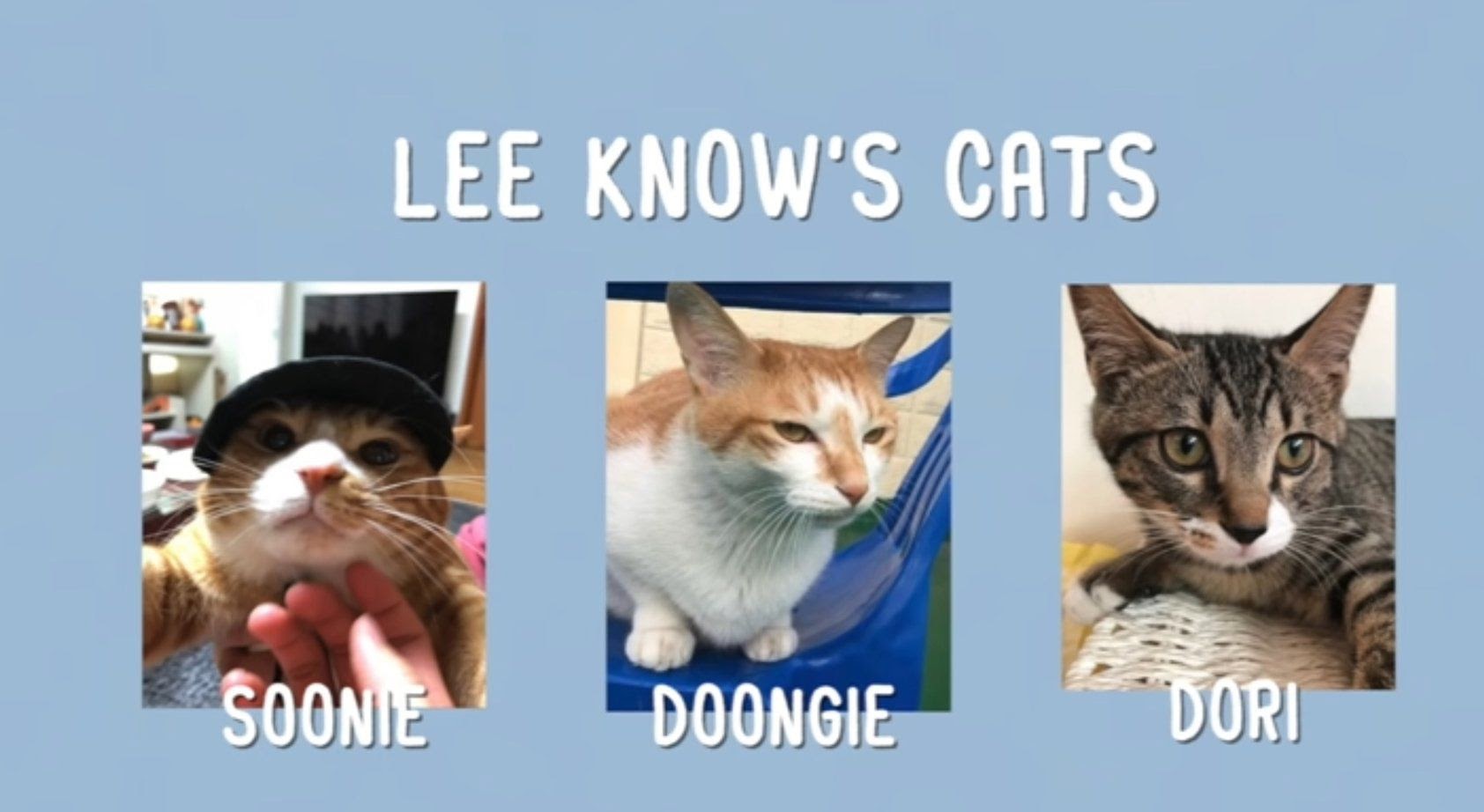 𝖘𝖔𝖔𝖓𝖎𝖊, 𝖉𝖔𝖔𝖓𝖌𝖎𝖊 𝖞 𝖉𝖔𝖗𝖎;