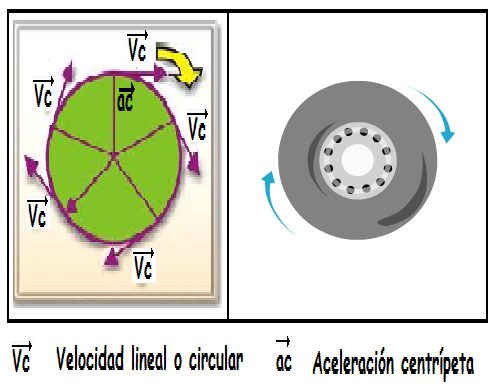 Cinemática de los cuerpos: Movimiento circular
