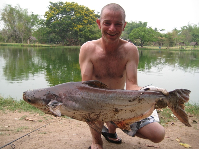 Fish Of The Month July Entry Karak Catfish Fish Of The Month July Entry Karak Catfish