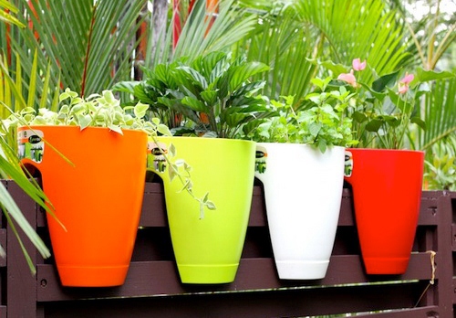 11 Desain Pot Bunga Minimalis Yang Bagus