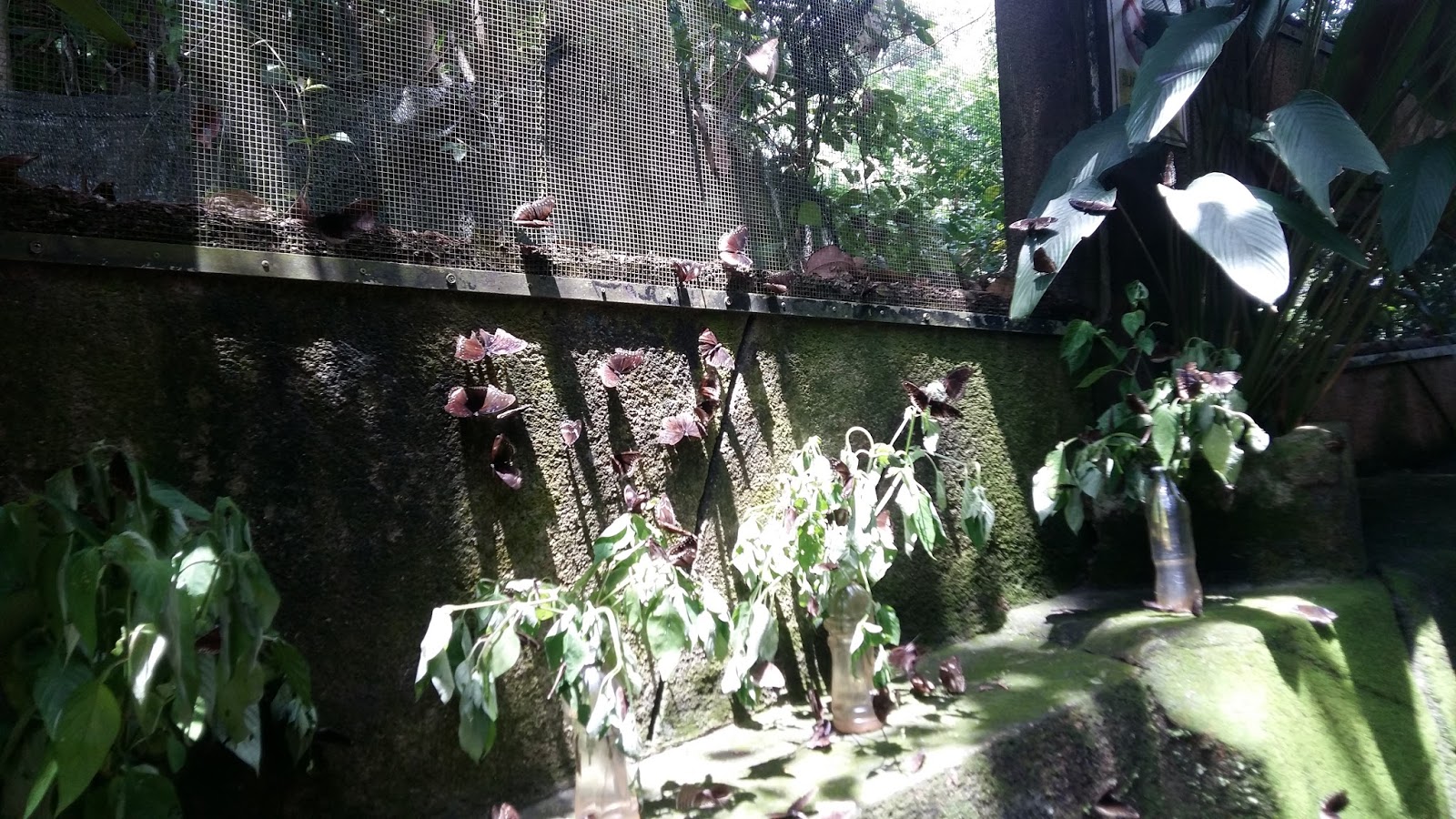 Jalan-Jalan Melaka | Taman Rama - Rama & Reptilia, Melaka - INILAH ...