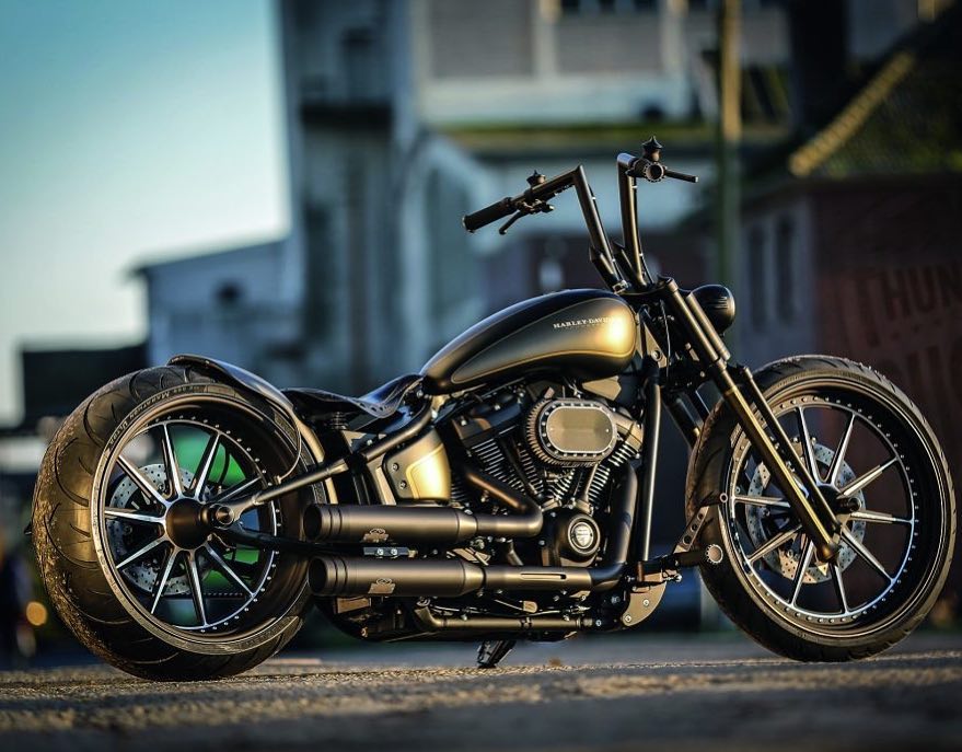 Bira sobre Rodas: Novas Softails - Customizadas II (Thunderbike)