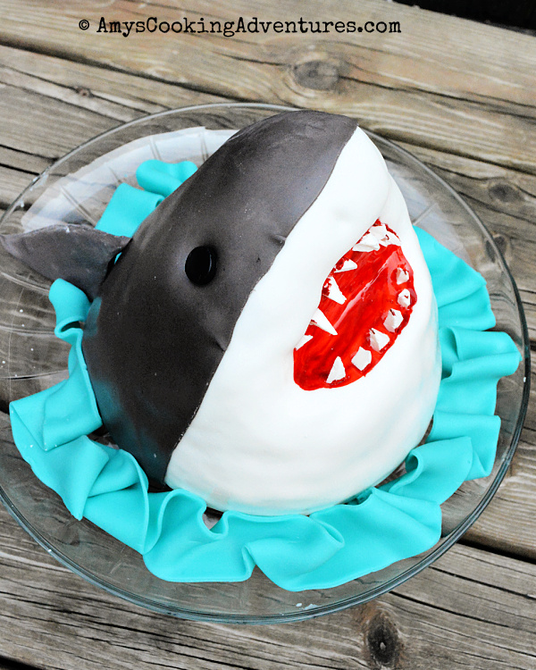 Shark (Megalodon) Cake