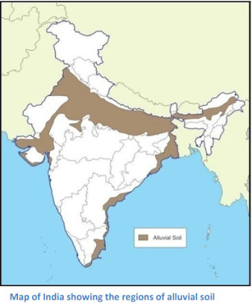 Revision Notes for Soils in India Class 10 Geography ICSE