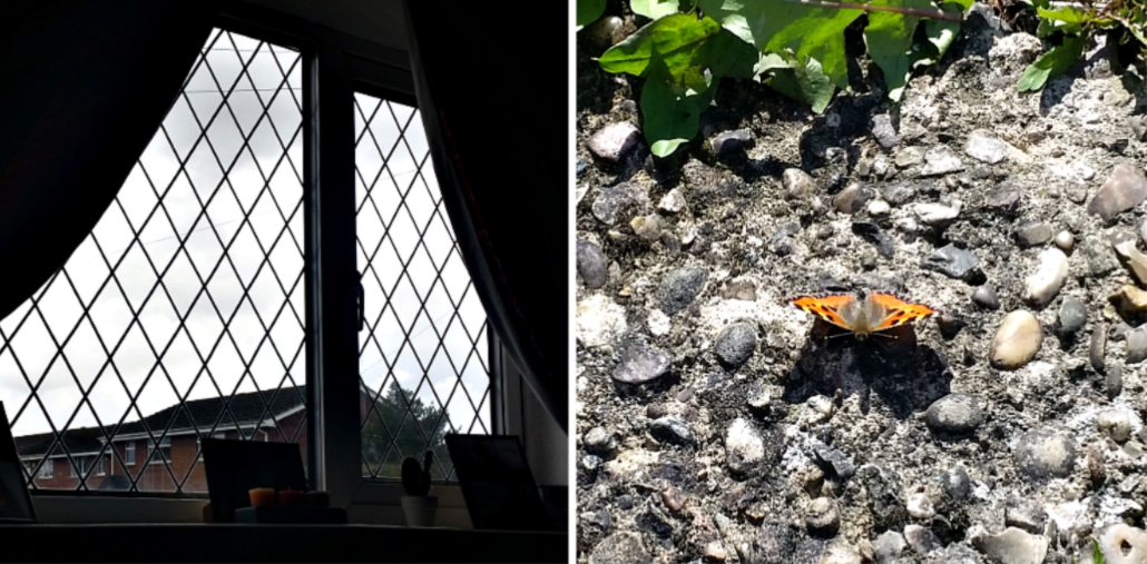 Life As Kim: Week 35 of #Project366 - A photo every day for a year!