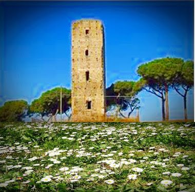 Tutto su Roma: Sotto i nostri occhi: la Torraccia di Centocelle