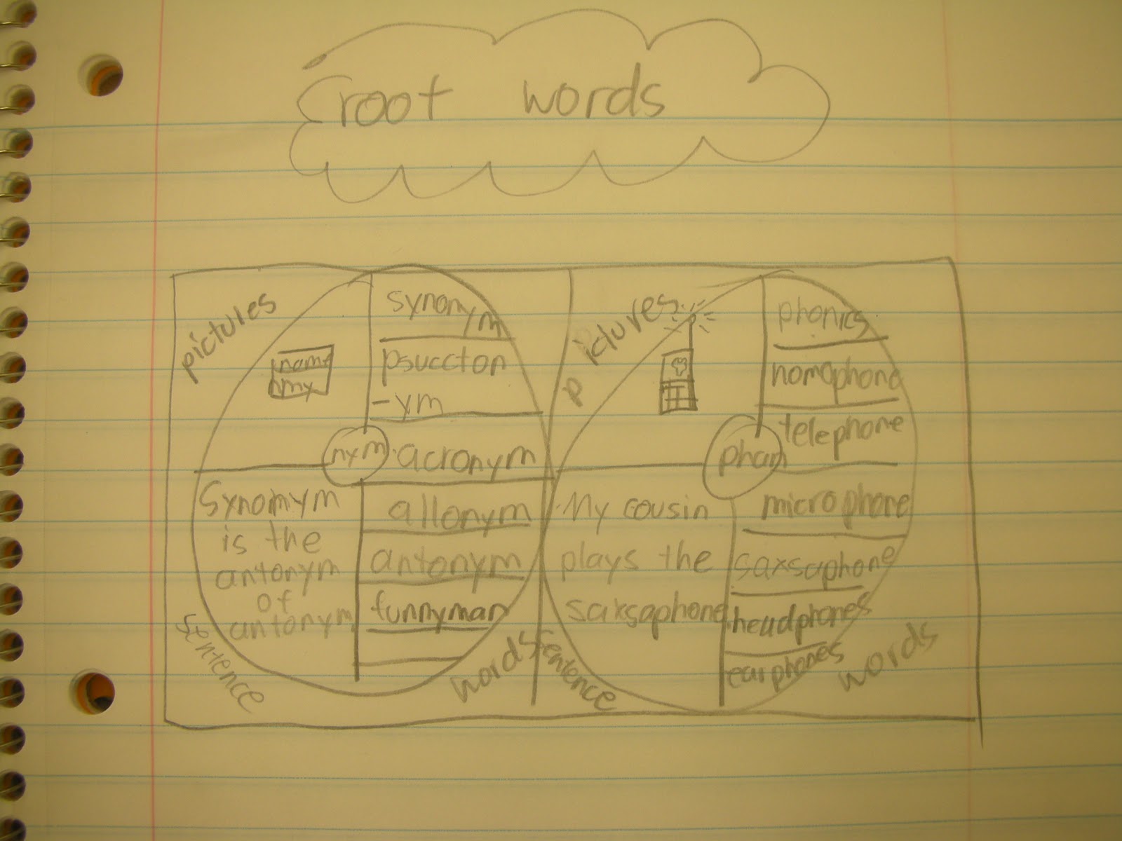 Root Word Study | Teaching in Room 6