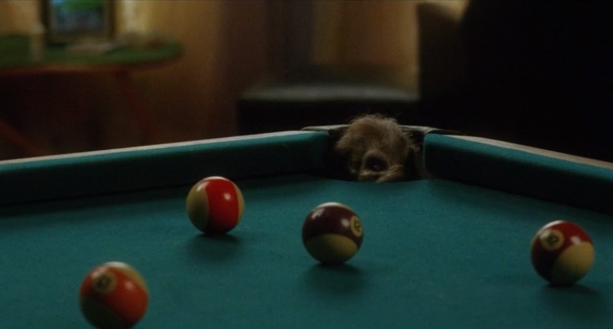 The Bloody Pit of Horror: Munchies (1987)