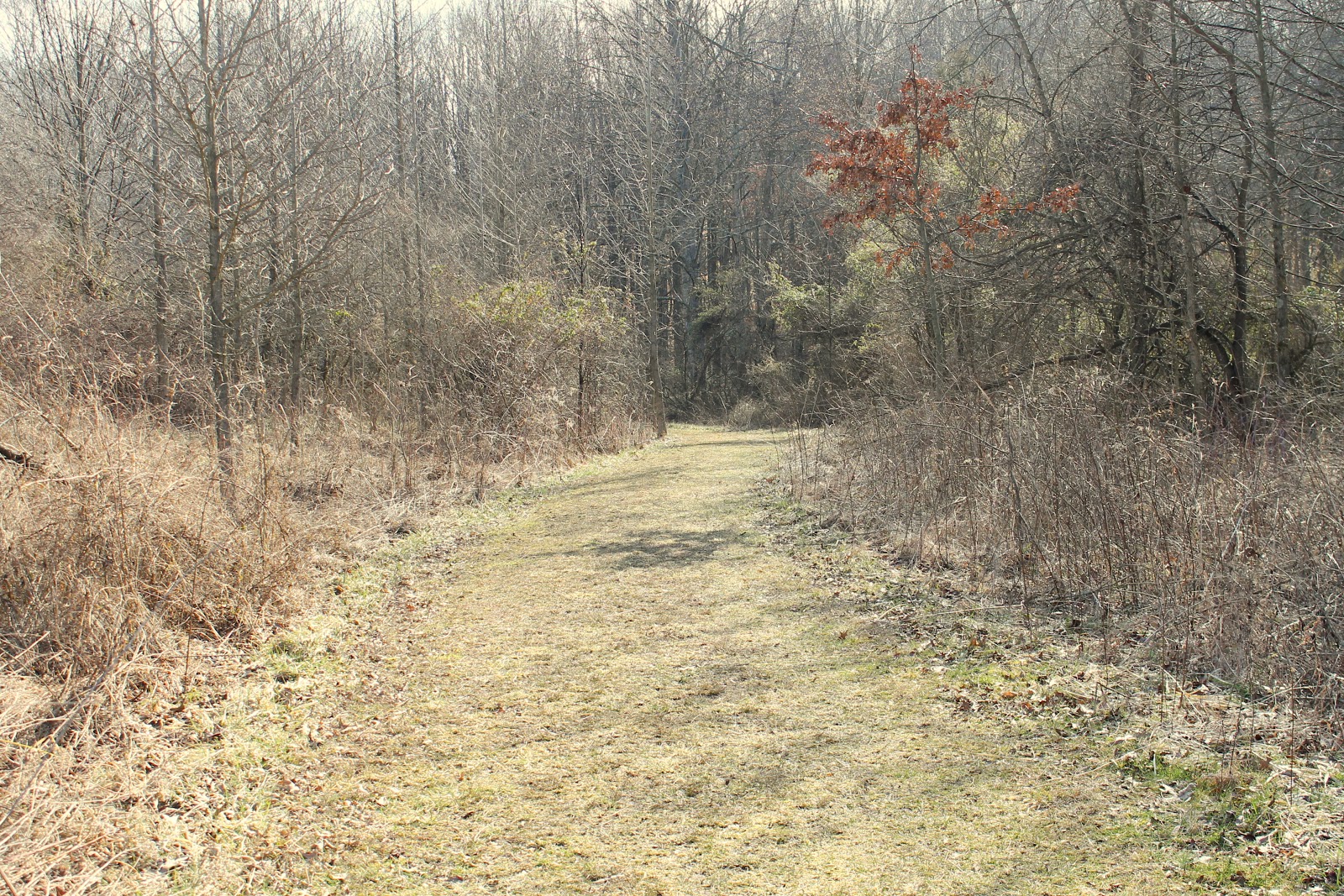 Arrows Sent Forth: Hiking at Muscatatuck Wildlife Refuge