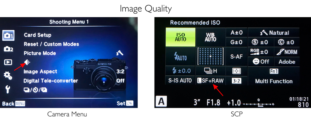 VideoPic Blog: Editing images with your Olympus Camera