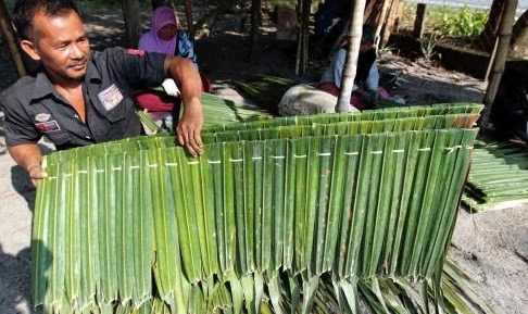 Anim Agro Technology: TEKNOLOGI ATAP RUMBIA