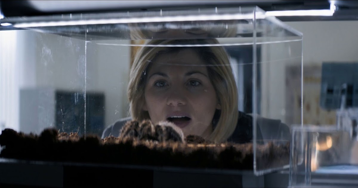 Doctor Who: The 13th Doctor (2018 - ?): #4 (11.4): Arachnids in the UK.
