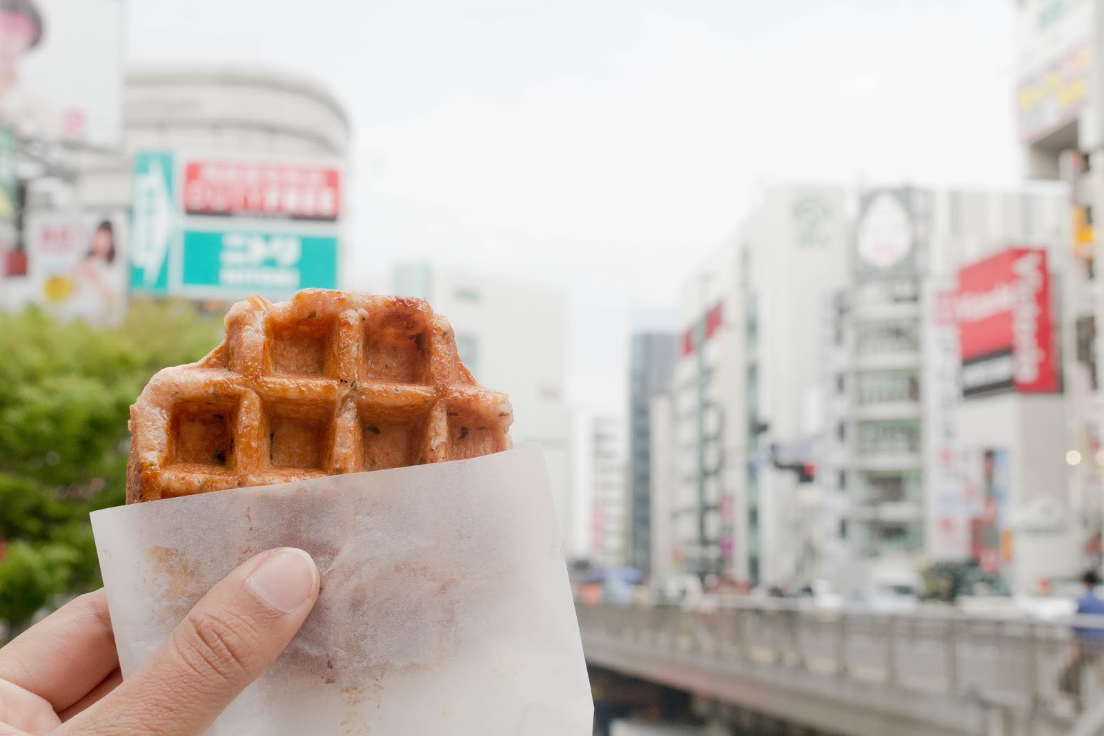 The Ultimate Tokyo Bucket List During Cherry Blossom Season - Tales of Two