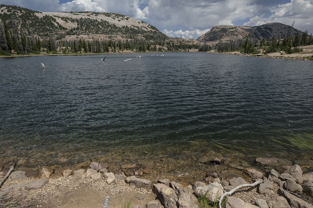 Trails Trekker: Three Divide Lakes Loop/Clyde Lake Loop