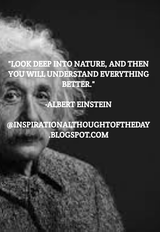 Inspirational Thought Of The Day