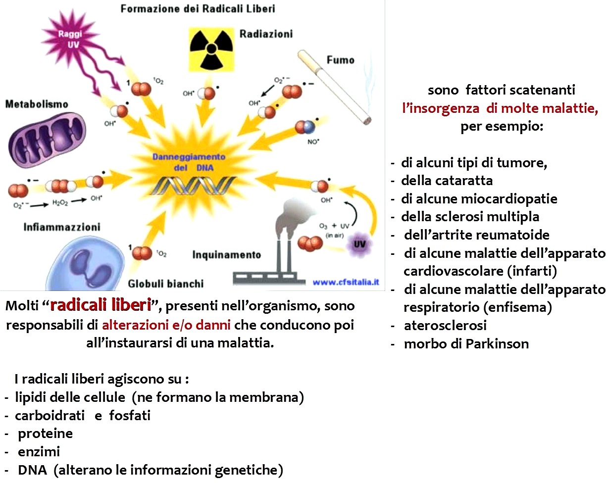 Riccardo Dapretto Personal Trainer: I RADICALI LIBERI uccidono ...