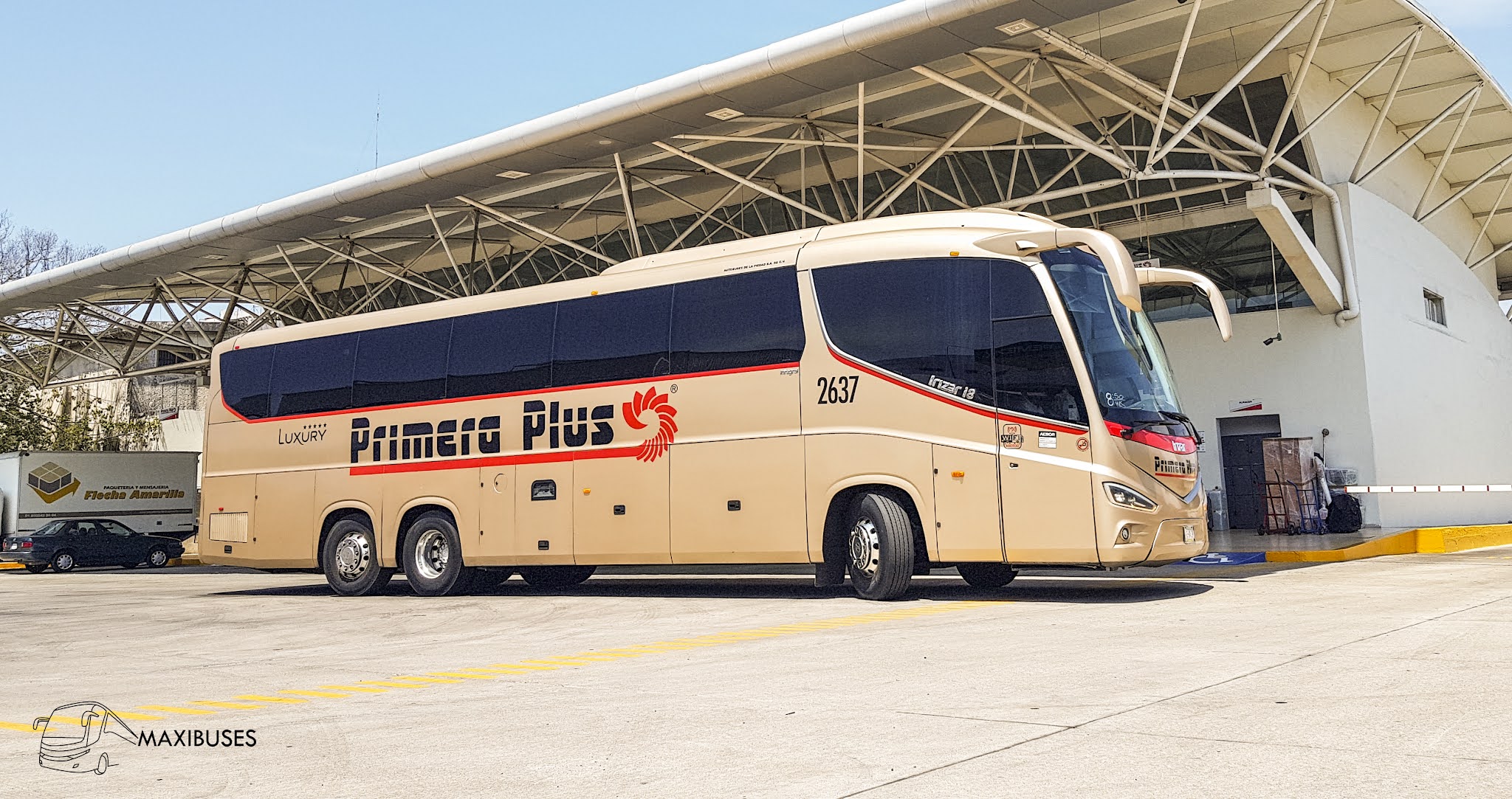 MAXIBUSES: PRIMERA PLUS