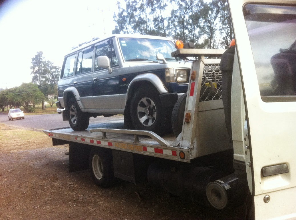 Costa Rica Rose: $600.00 Costa Rican Driver's License!