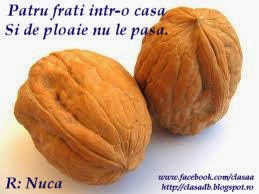 CLASA NOASTRĂ: GHICITORI DE TOAMNA