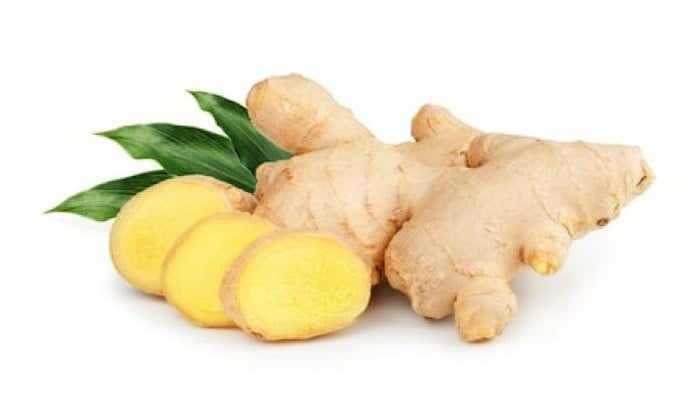 Macam - Macam Tanaman Toga