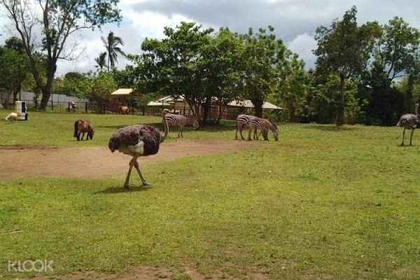 CAVITE ITINERARY: 30 Best CAVITE TOURIST SPOTS and Things to Do (Travel ...