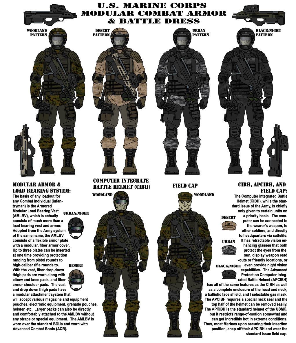 Beautiful lies - infographics inspirations: marine corps armor and dress