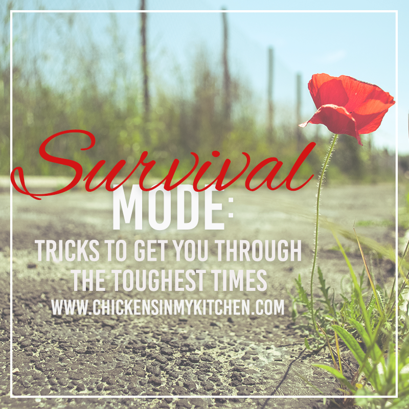 Chickens in My Kitchen: Survival Mode: Tricks to Get You Through the ...