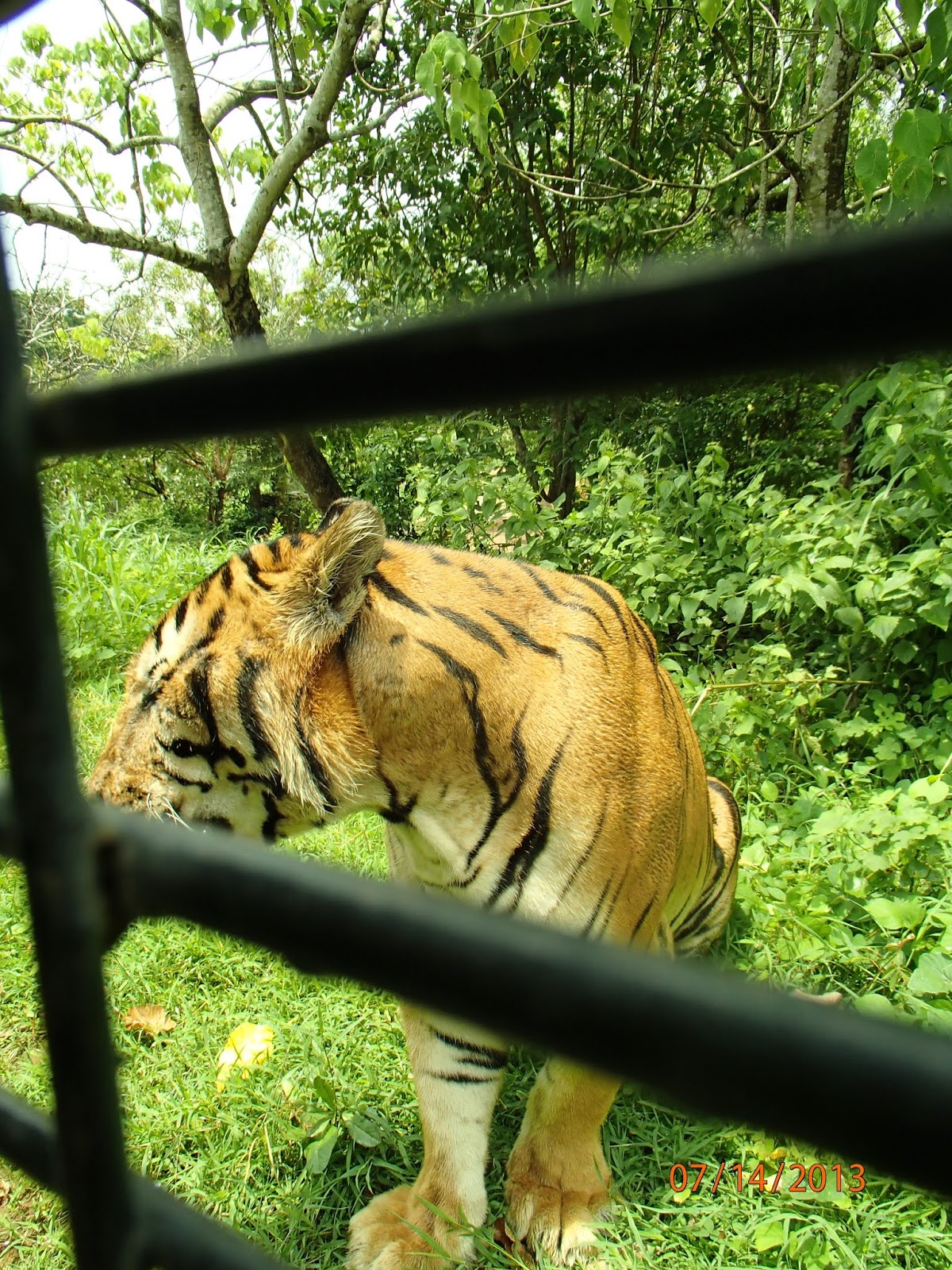 Zoobic Safari in Subic, Philippines