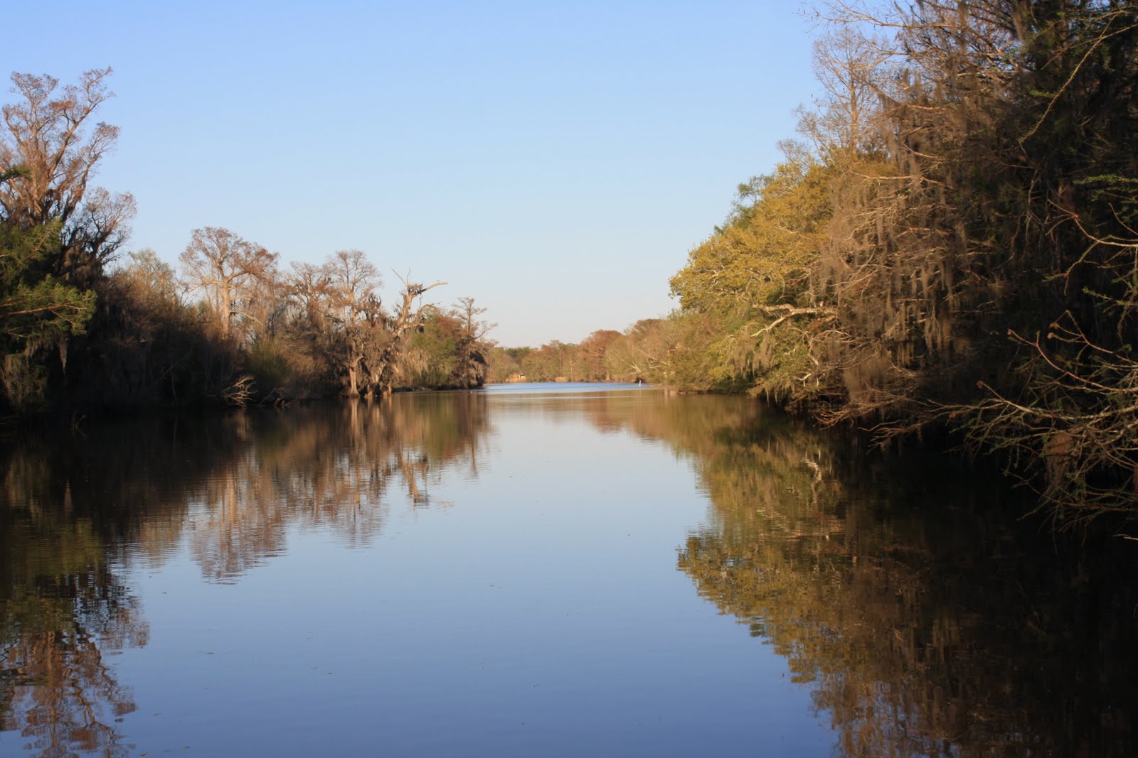 Best Bayou To Visit In Louisiana at Herbert Hamilton blog